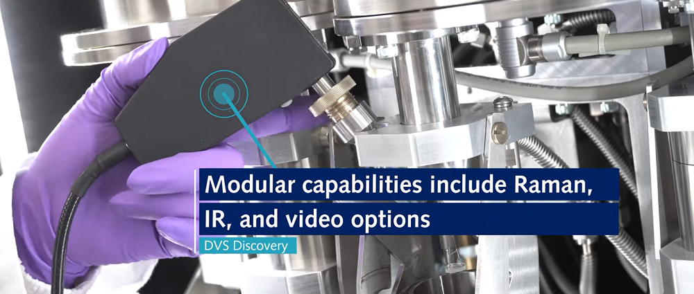 DVS Discovery - the world's most advanced dual balance gravimetric ...